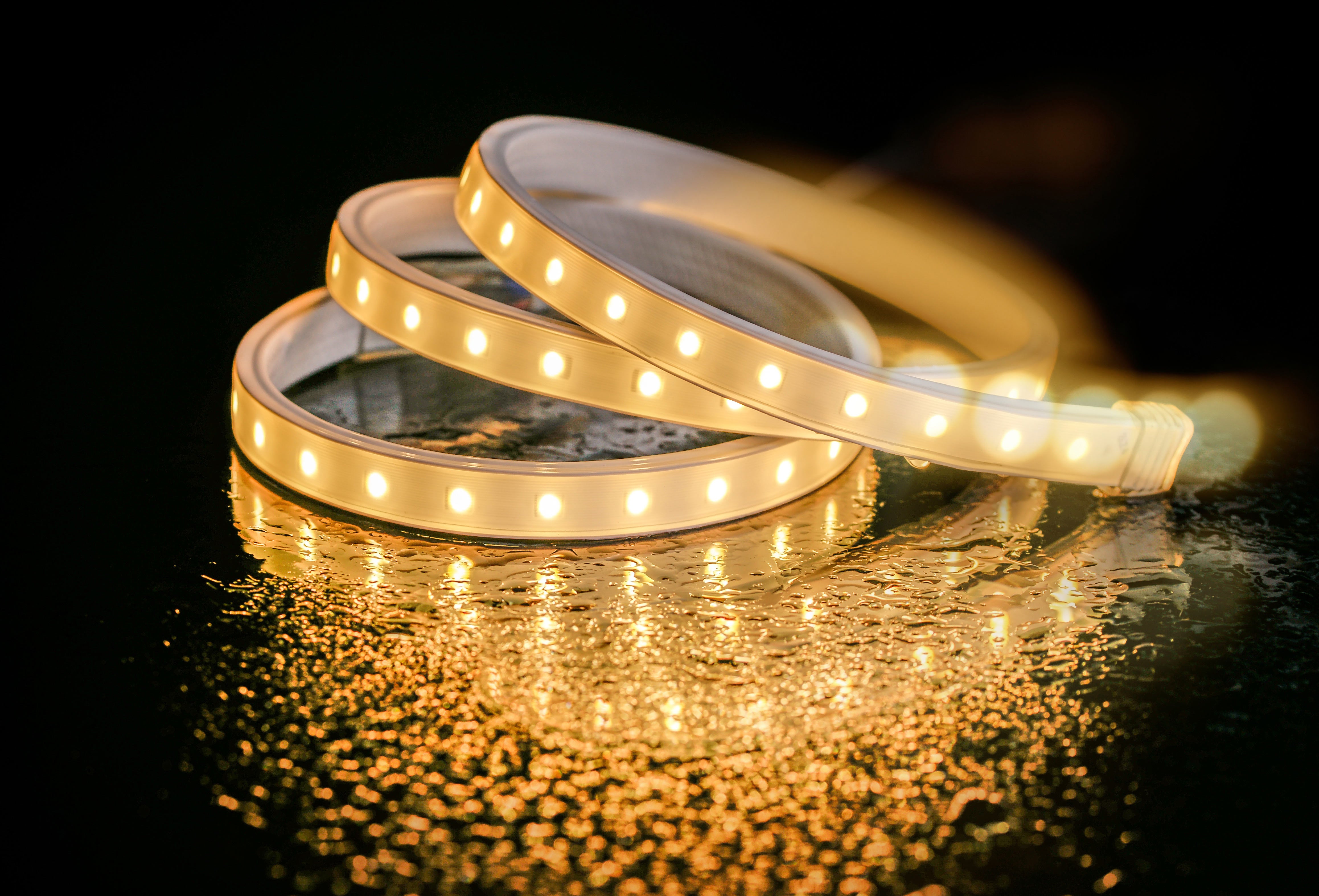 220V Pro LED Tape Light – WYNBERG LIGHTS