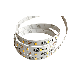 PioLED 4.8W 24V IP65 Strip Light - 10M LED/M | Buy Online | Wynberg ...