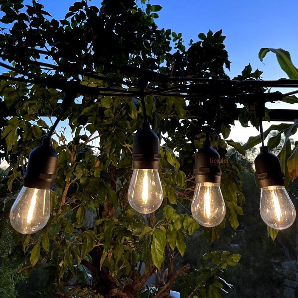 Festoon String Lights | Buy Online | Wynberg Lights – WYNBERG LIGHTS