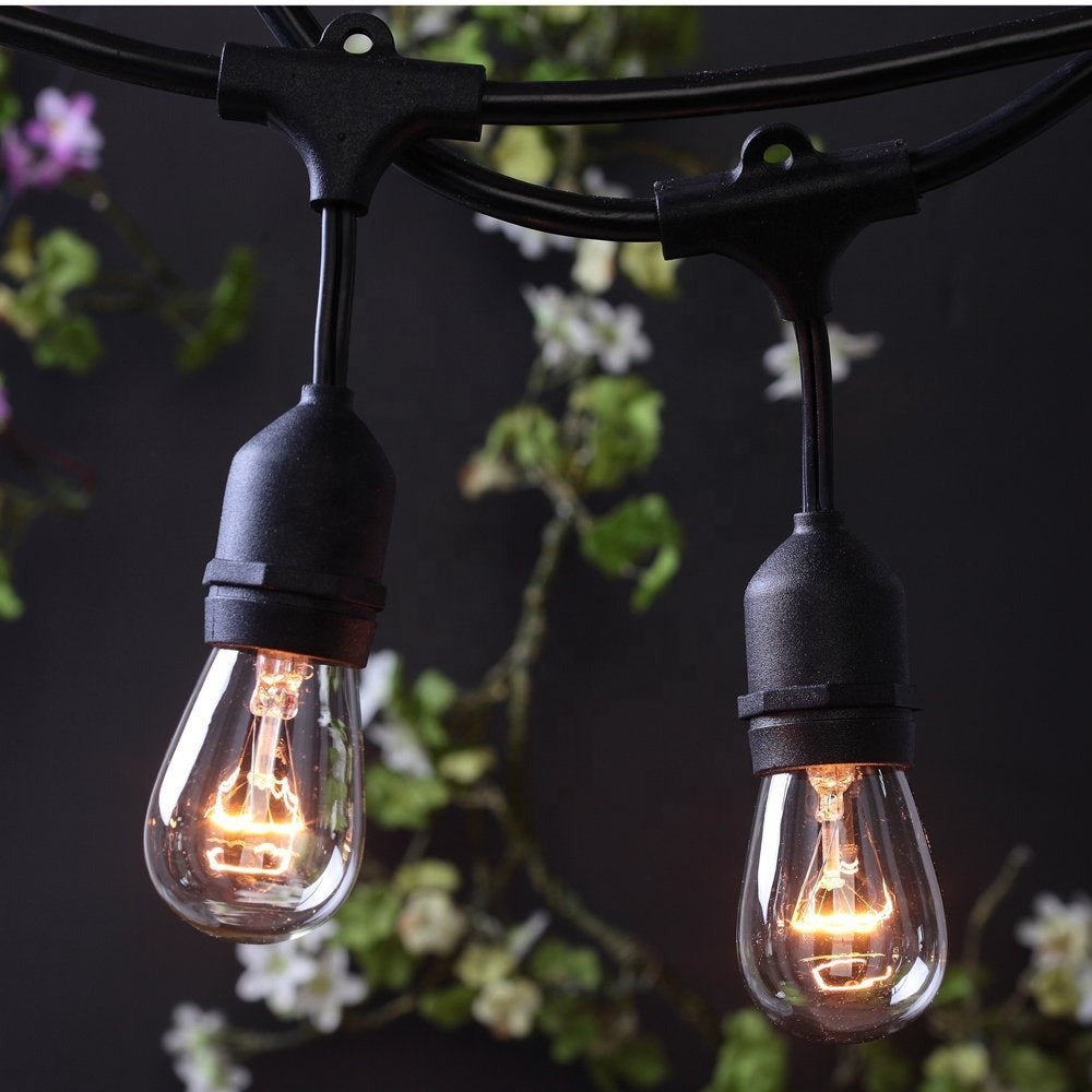 Festoon String Lights | Buy Online | Wynberg Lights – WYNBERG LIGHTS